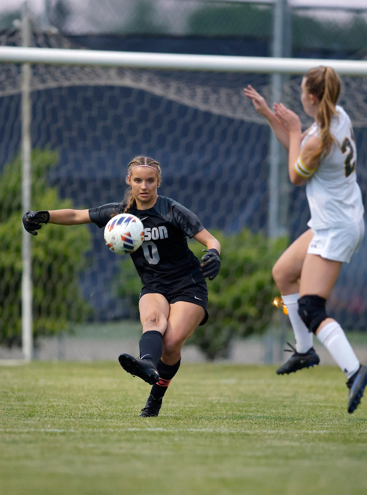 Greater Lansing high school girls soccer Dream Team, all-area - Yahoo ...