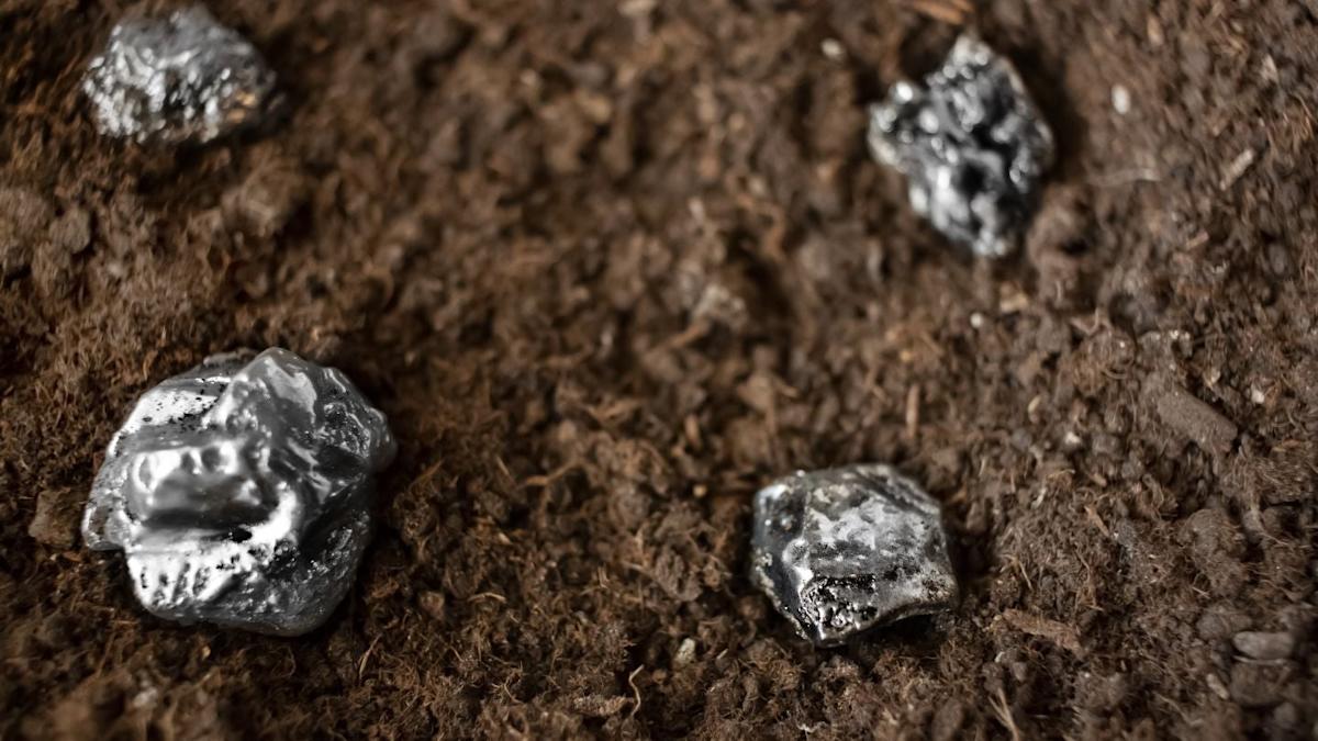 Dalaroo identifies critical minerals system at Blue Lagoon, Greenland