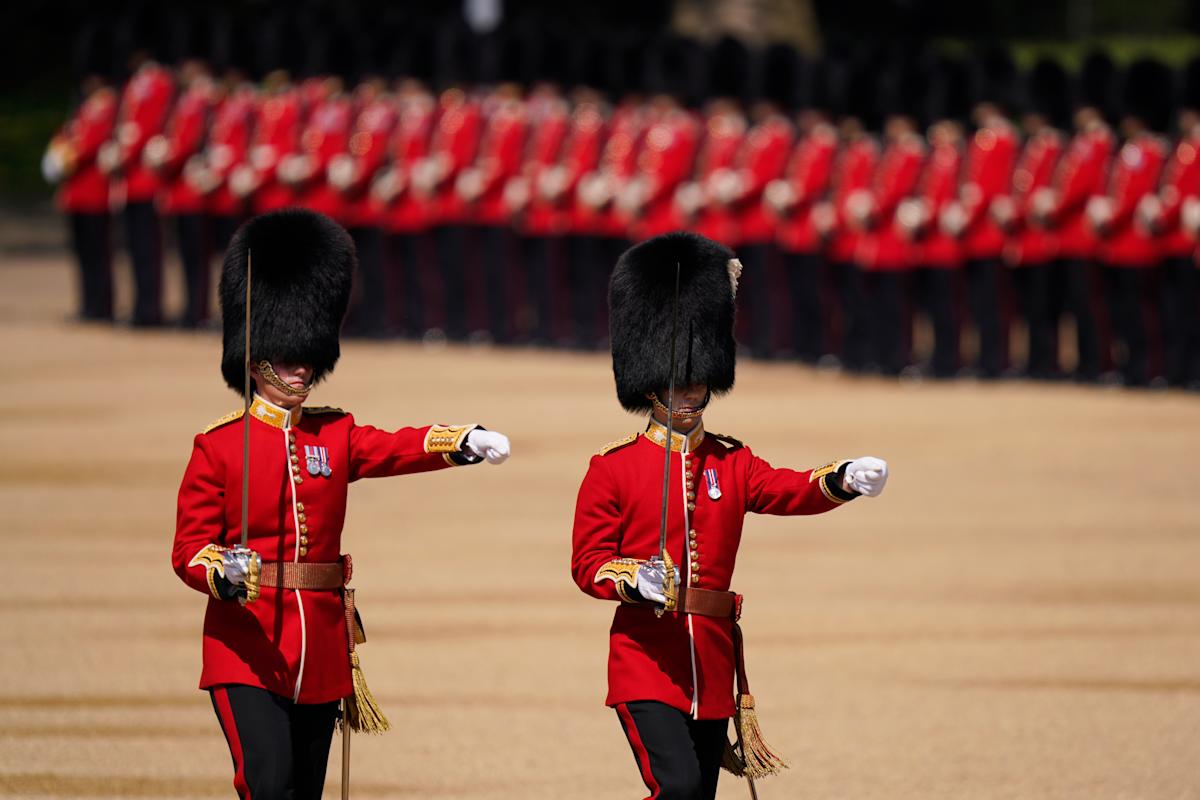 Animal rights groups object to Buckingham Palace guard's distinctive ...