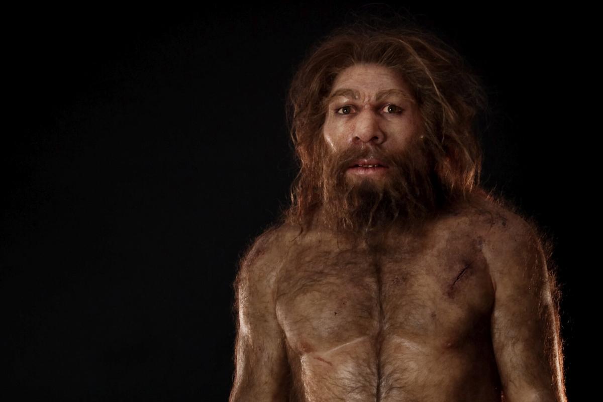 Revelan el origen del humano primitivo y los motivos de su desaparición