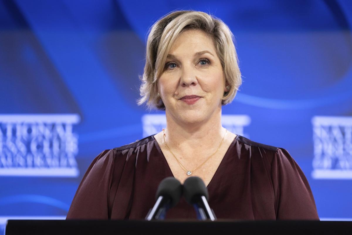 As Tesla stock plummets, boardroom insider and Elon Musk supporter ...