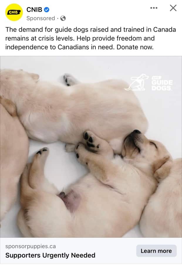 For every dollar donated to CNIB's 'urgent' guide dog campaign, it ...
