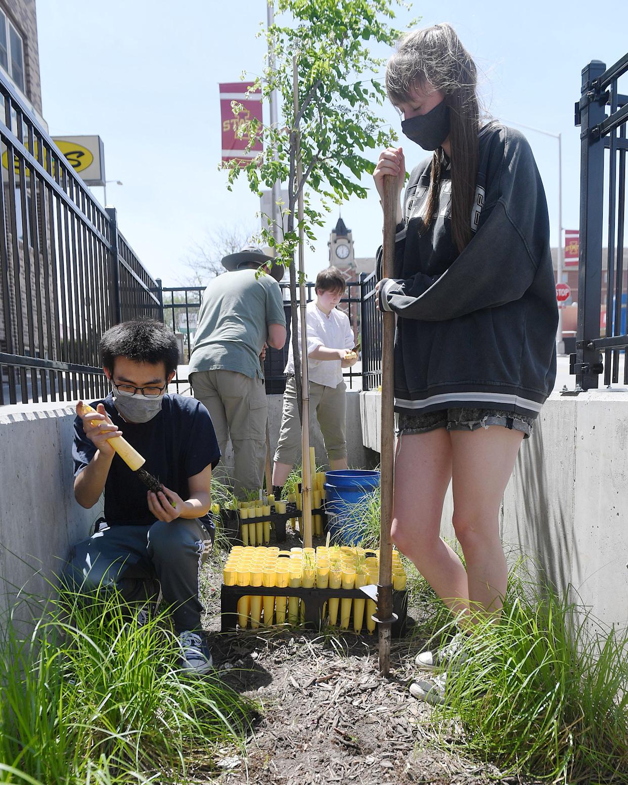 Ames High School students plant native flowers, grasses around city ...
