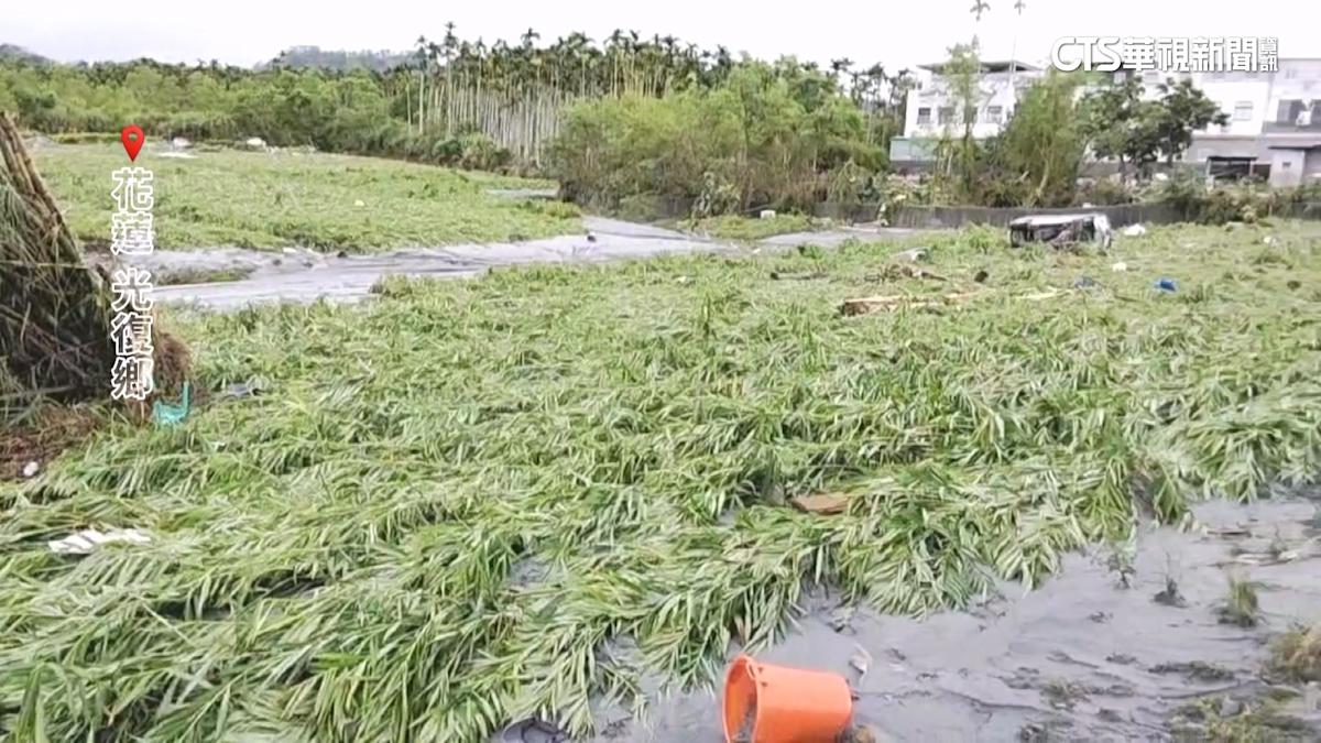 馬太鞍堰塞湖溢流！ 薑田泡湯 農民初估損失逾300萬
