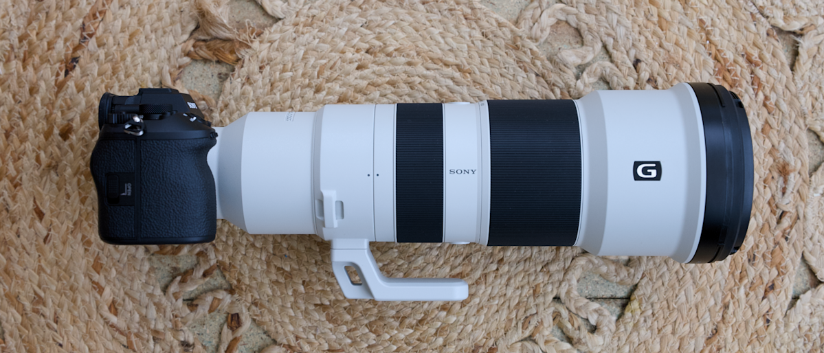 I tested Sony’s longest telephoto zoom lens and it’s a winner for ...