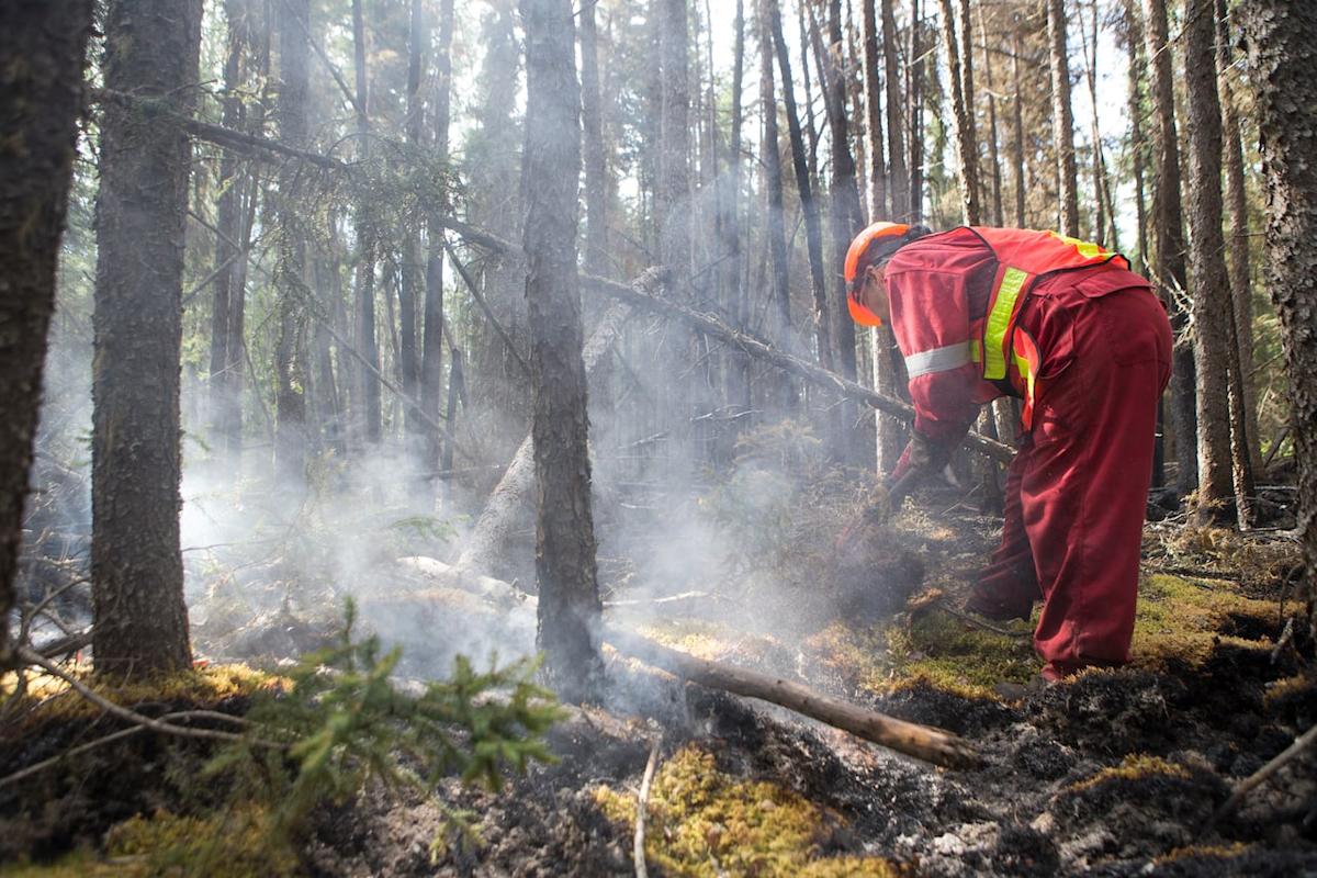 Creighton and Denare Beach, Sask., under evacuation alerts as out-of ...