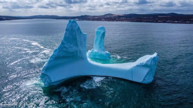 Iceberg lovers go wild over viral photos of the 'dickie berg' off ...
