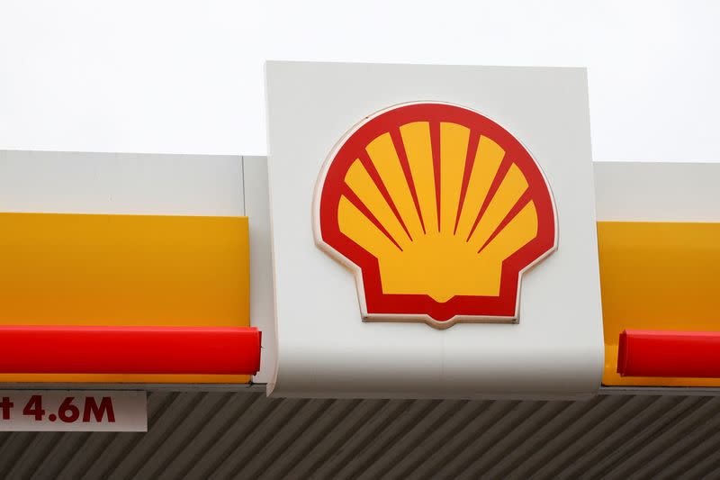 Shell to go ahead with development of Manatee gas project in Trinidad