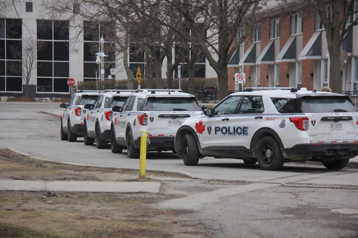 Auto thefts are up in Windsor. Police have new resources to deal with it