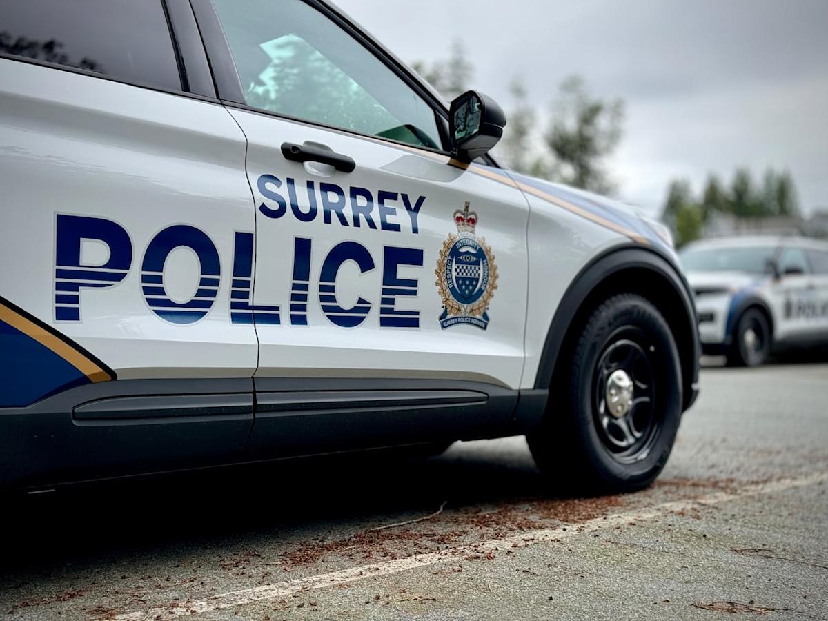 Surrey man charged with break and enter and sexual assault last year ...