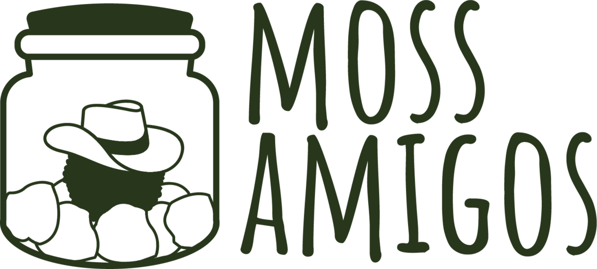 Moss Amigos, the Original Pet Plant, Completes Provisional Patent on ...