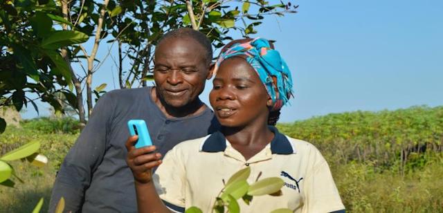 iWebb Inc To Acquire Tingo Mobile Plc.