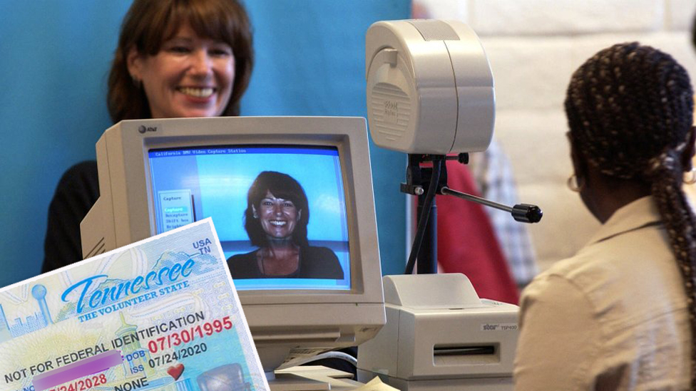 Woman finds hilarious licence mistake after renewal - Yahoo News Australia