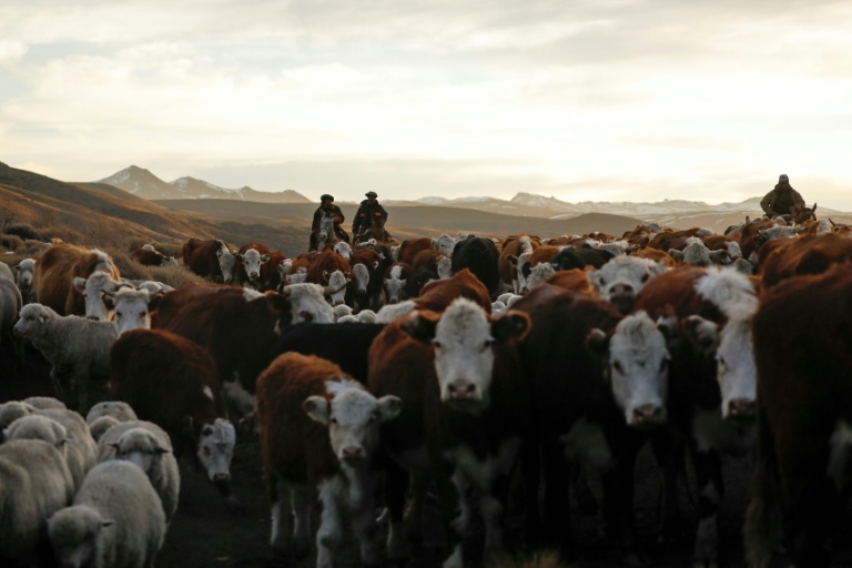 EU, Mercosur bloc ink major trade deal, reject 'tariffs' and 'isolation'