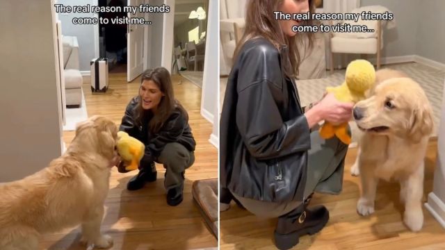 Video: Dog Mom Reveals Real Reason Friends Come To Visit Her