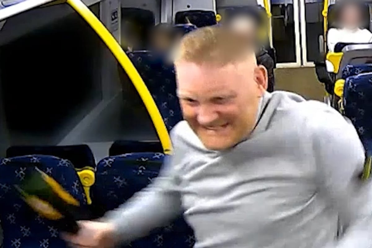 Shocking moment thug tried to kill stranger in train bottle attack - as ...