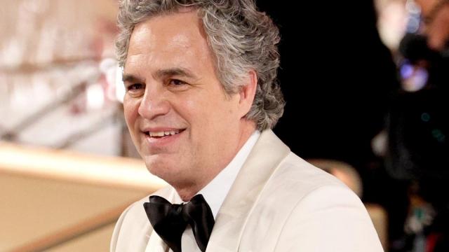 Mark Ruffalo Might Enter Politics in Future — Source