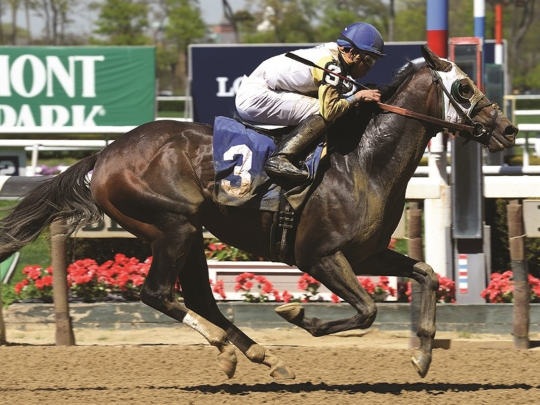 Tale Of Silence Moves To Colebrook Farms In Ontario For 2026 - Yahoo Sports
