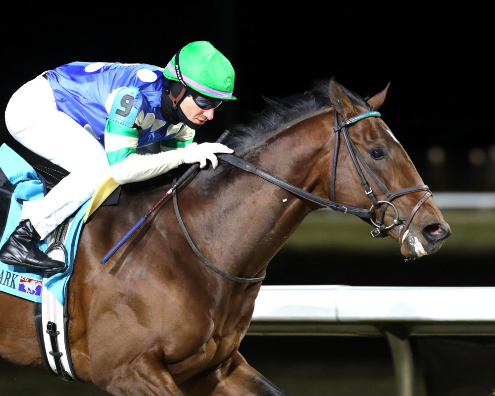Street Beast Romps Gate To Wire In Leonatus - Yahoo Sports