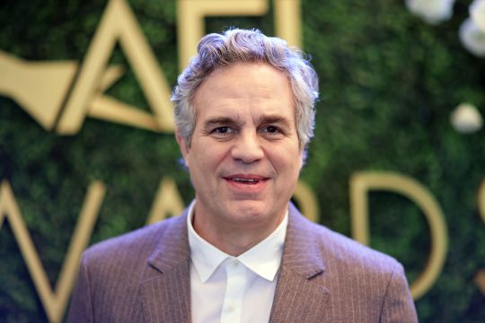 Mark Ruffalo Sparks Rumors He Will Run for Political Office