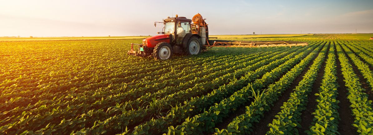 What Ingredion (INGR)'s Earnings Miss Amid Sector Pressures Means For ...