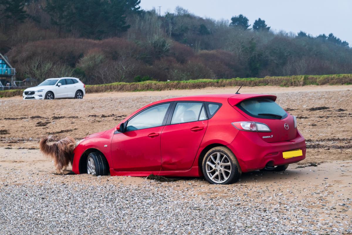 Red Mazda meets its match in Maenporth sand — as a dog shows its opinion - Yahoo News UK