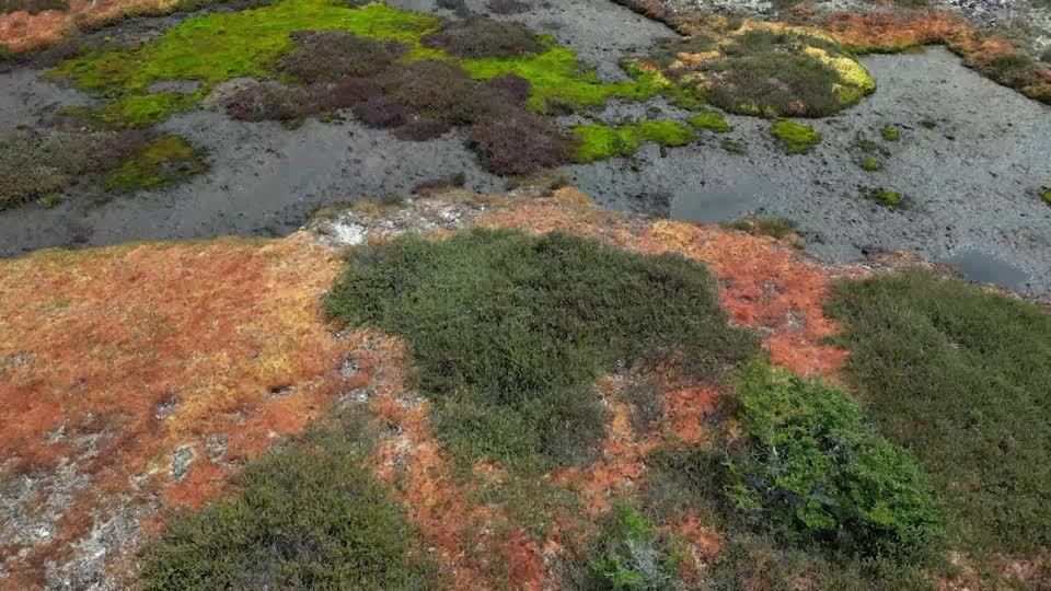 The new push to protect Patagonia's carbon-rich peatlands