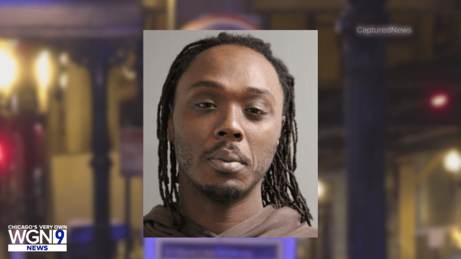 Docs: Man records his deadly stabbing of sleeping passenger on CTA Blue ...