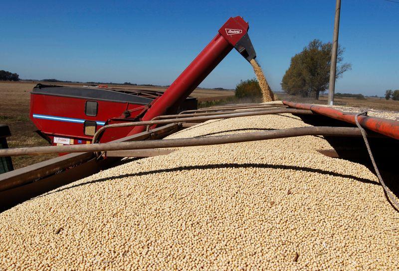 Cosecha soja cerca de terminar en núcleo agrícola de Argentina: Bolsa ...