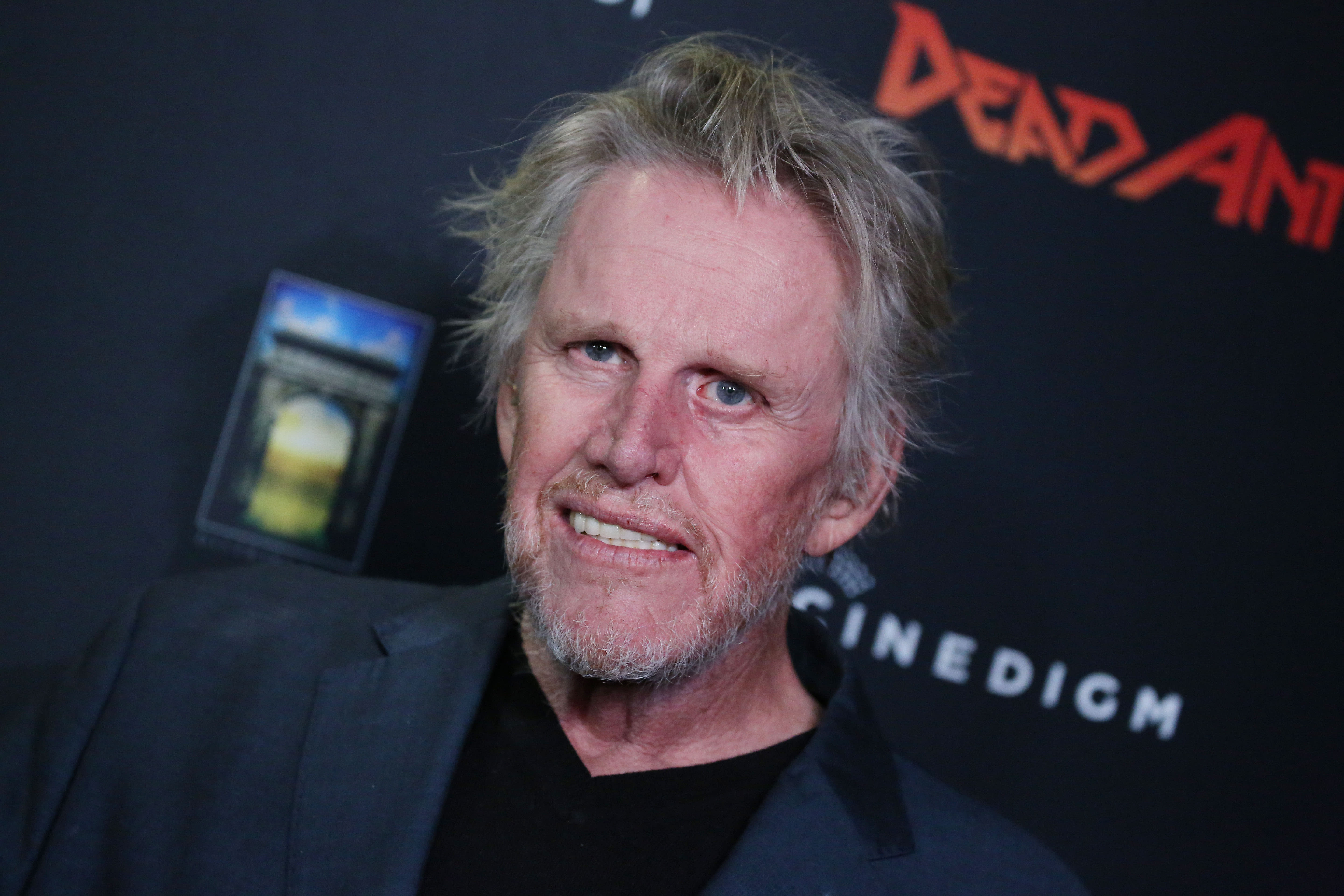 Gary Busey To Play God In Off Broadway Musical ‘Only Human’ This Fall