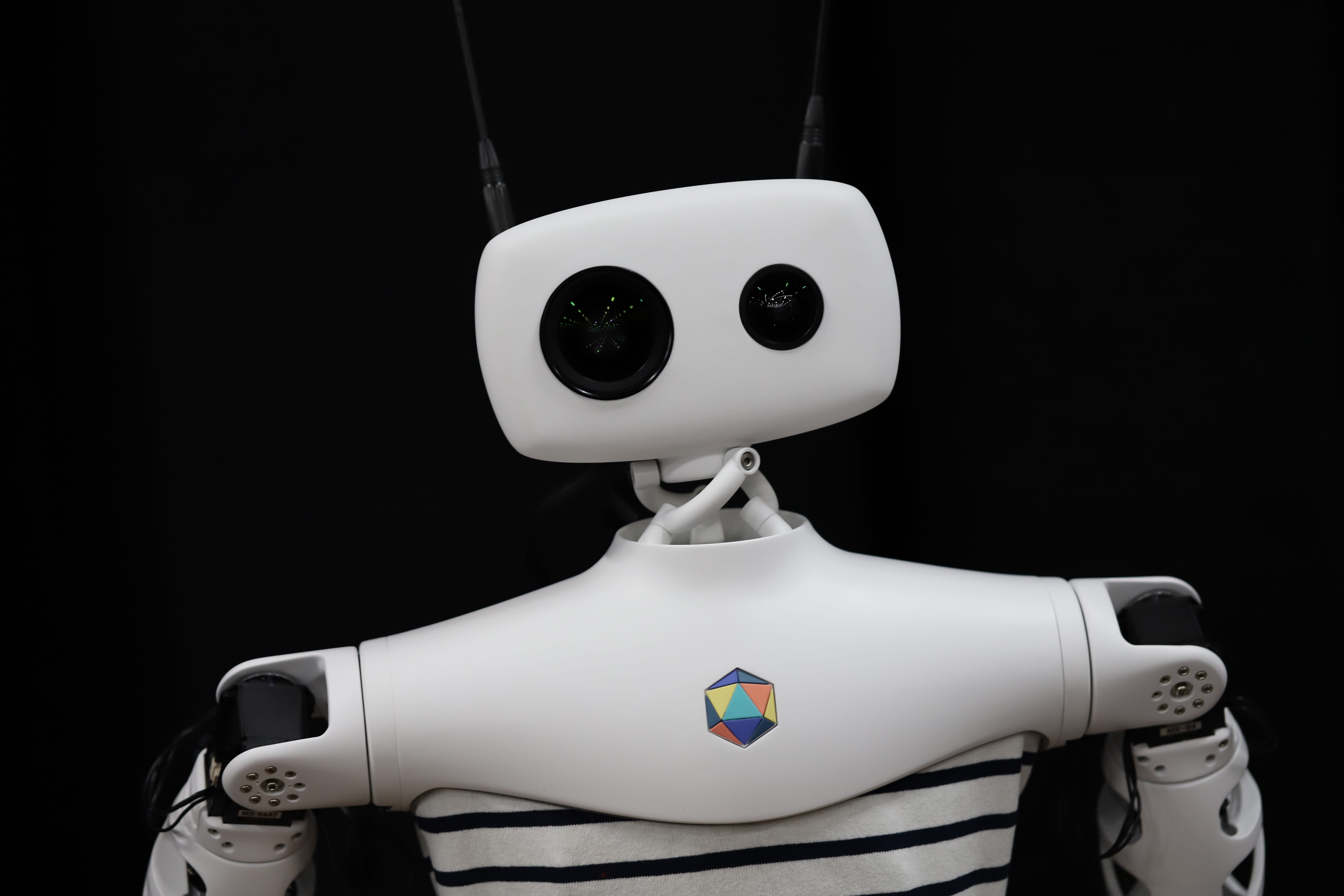 Pollen Robotics is selling a $17,000 robot torso for researchers and ...