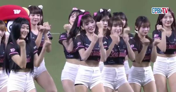 05/23 台鋼 VS 味全 賽前，味全啦啦隊Dragon Beauties小龍女帶來動感的開場表演！