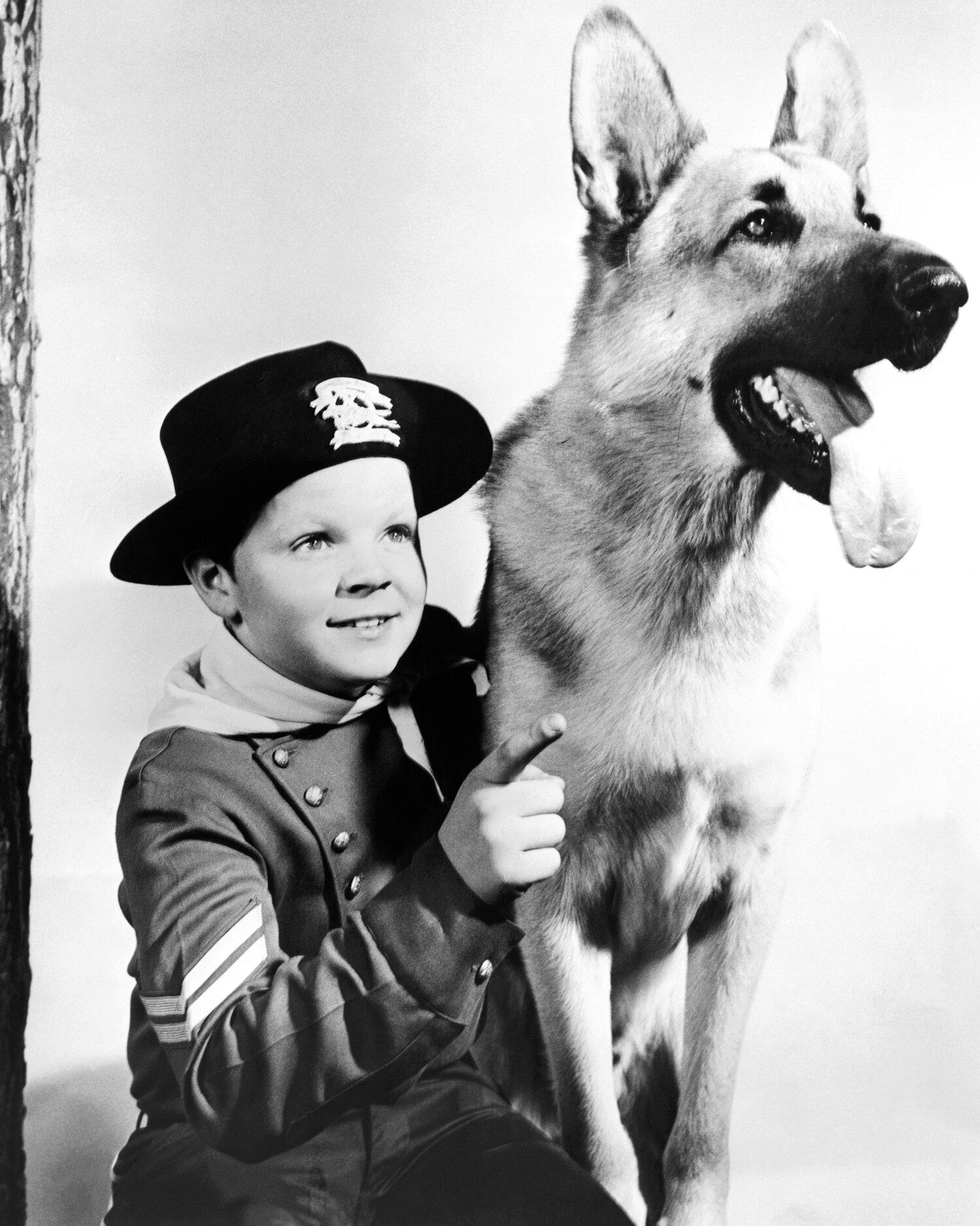 Lee Aaker, Child Star of The Adventures of Rin Tin Tin , Dies at 77