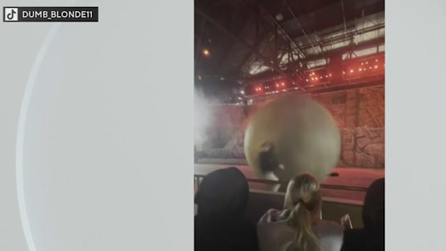 Disney cast member recovering after being hurt by prop boulder