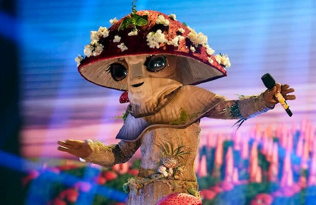 ‘Masked Singer': Mushroom Says His Performances Were All About ...