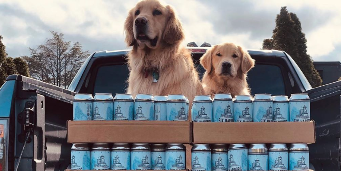 These "Brew Dogs" Are Delivering Beer to Local Customers And We Fully ...
