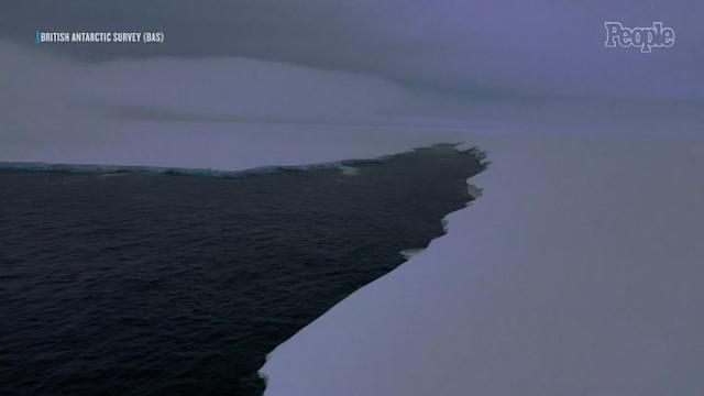 World's Largest Iceberg, Weighing Nearly 1 Trillion Tons, Runs Aground ...