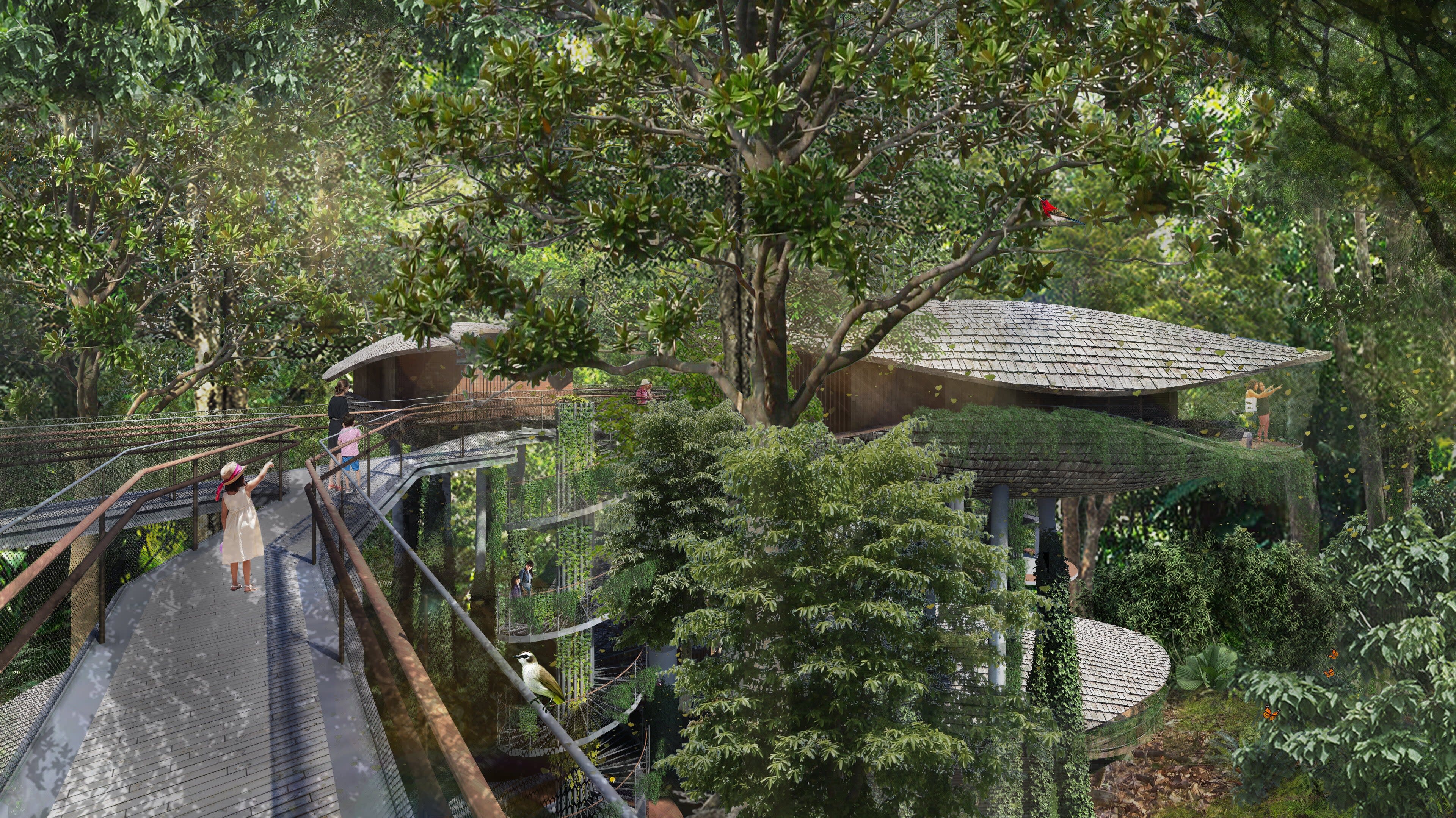 Banyan Tree's first Singapore resort will be eco-friendly Mandai ...